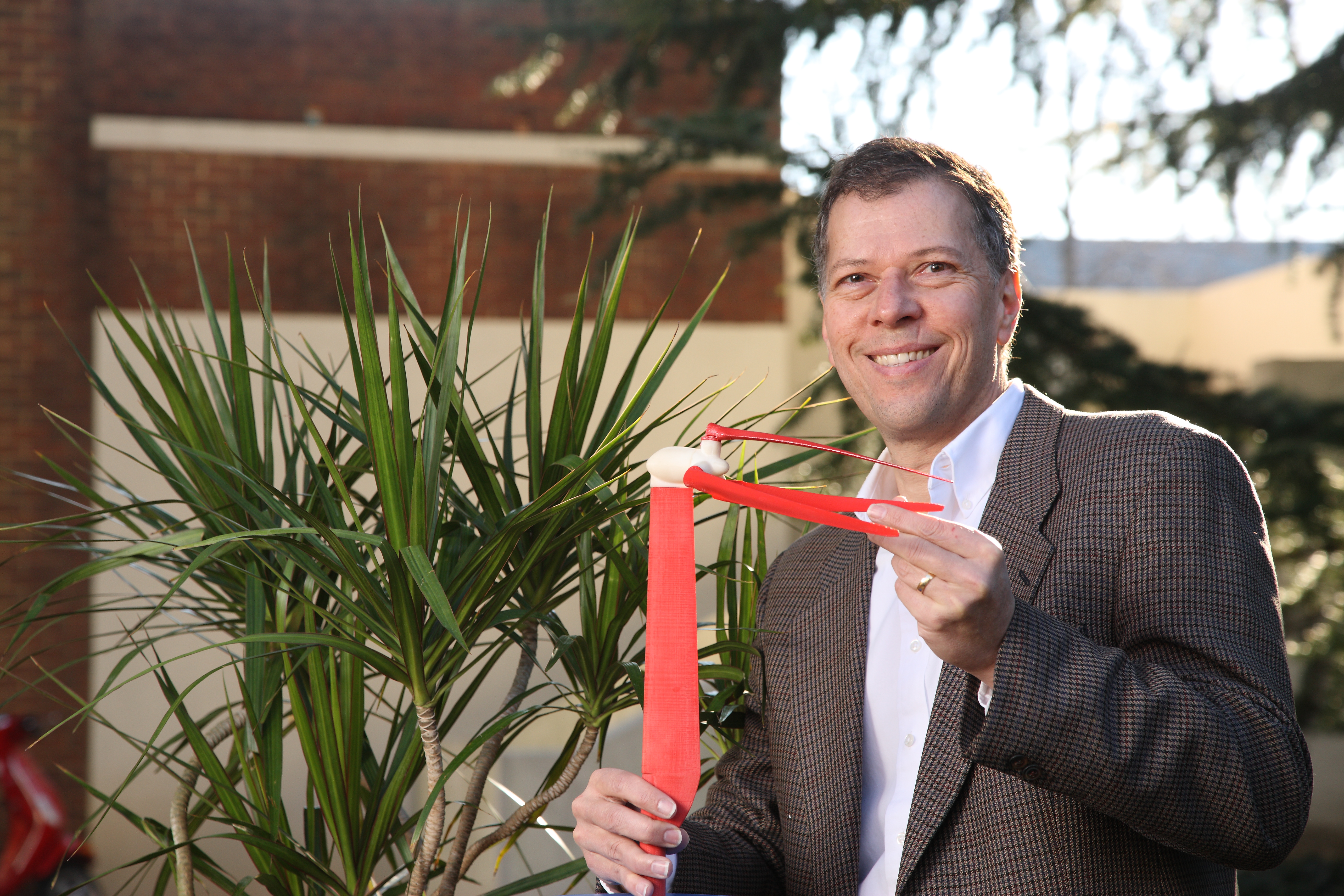 Palm Trees Inspire Wind Turbine Design - Electrical Engineering News ...