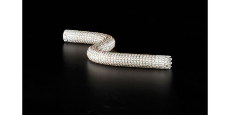 One-Year Results in Japanese Clinical Study Affirms the GORE VIABAHN ...