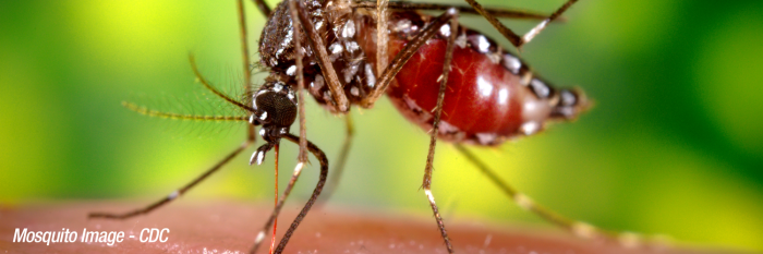 UTMB Researchers Create Powerful New Tools to Combat Zika - Medical ...