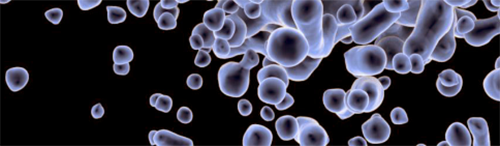 Virusdetect, a New Bioinformatics Pipeline for Virus Identification ...