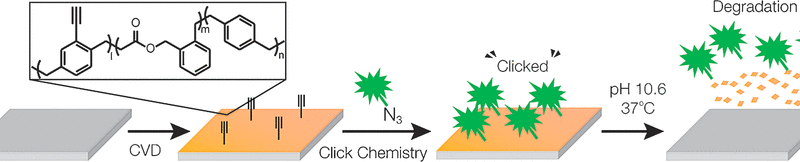 Biodegradable Polymers Made by Chemical Vapor Deposition - Medical ...