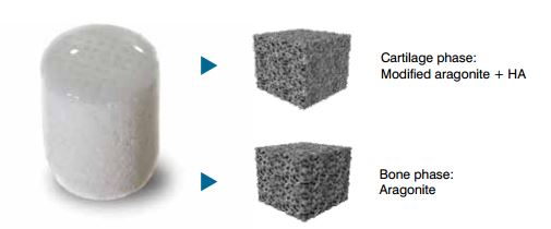 CartiHeal Announces FDA IDE Approval of its Agili-C Implant for the ...