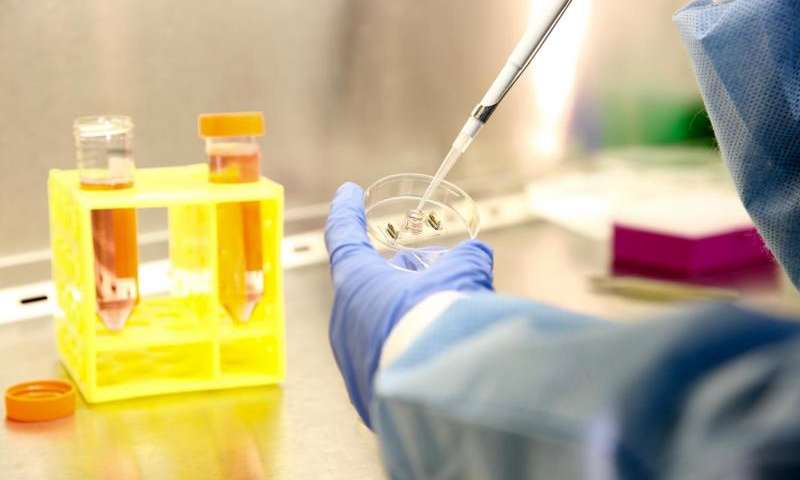 Lab Unveils “Heart-on-a-Chip” - Medical Design and Outsourcing