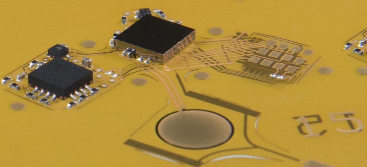 Video of the Day: Dragonfly Soars with Cyborg ‘Backpack’ - Electrical ...