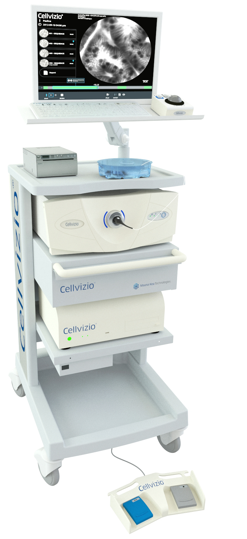 FDA 510(K) Clearance For Use Of Cellvizio During Robotic-Assisted ...