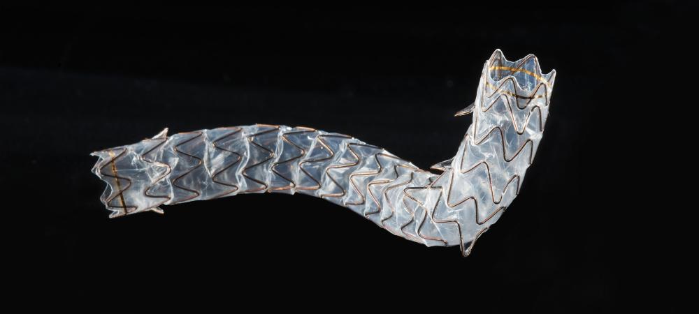 Gore Launches Anti-Migration Assurance Program For VIABIL - Medical ...