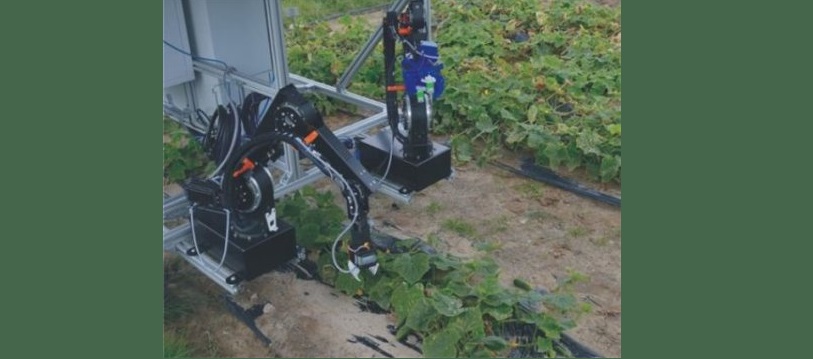 Lightweight Robots Harvest Cucumbers - Electrical Engineering News and ...